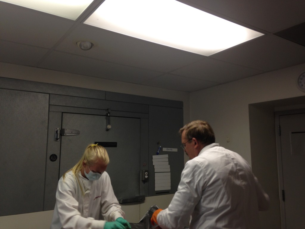 Forensic Biology Internship: My Summer of Corpses at a Coroner’s Office ...